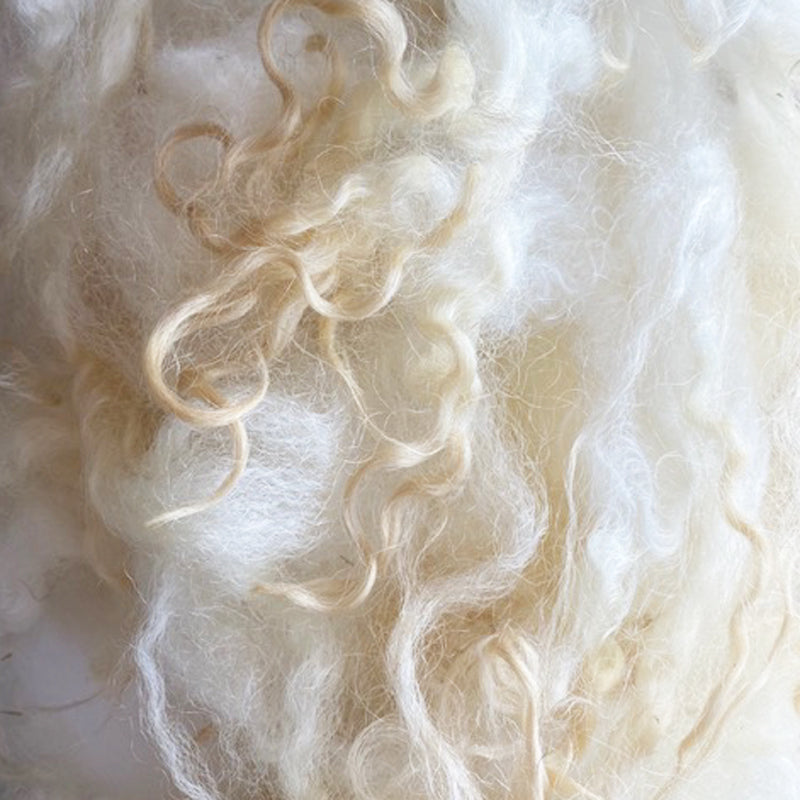 Valais Blacknose Washed Wool 50g – Risby Grange Longwools
