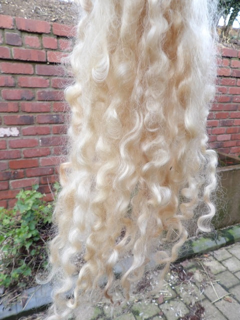 Blondes – Risby Grange Longwools
